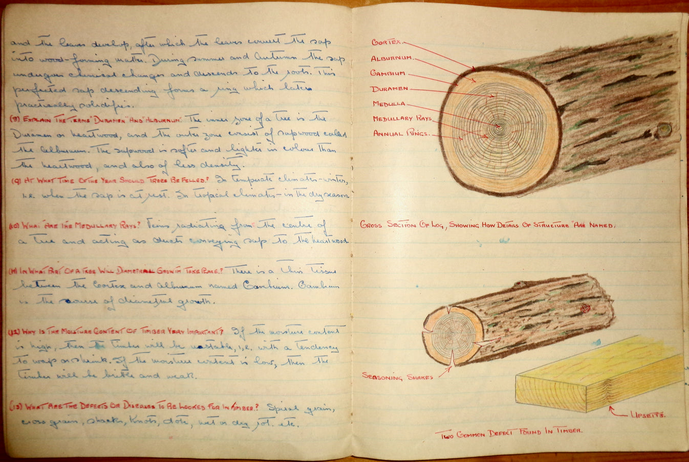 WW2 RAF Seaplane Hull And Float Engineer's Note Book With Two Cartoon ...